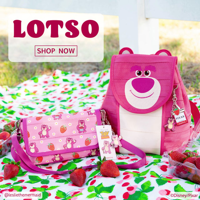 Shop HARVEYS California | The Original Seatbeltbag